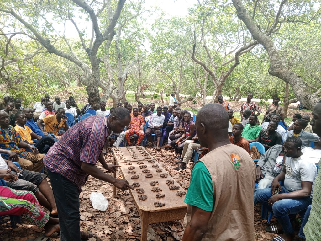 ANADER – Leader du conseil agricole et rural en Côte d'ivoire