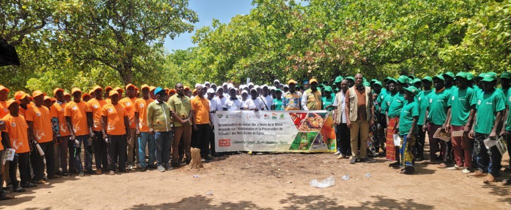 L’ANADER ET LE CONSEIL COTON–ANACARDE EN CAMPAGNE POUR DES NOIX DE ...